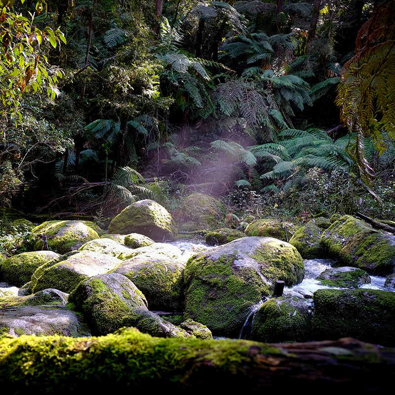 How good natural beauty products to the environment – cooleeme